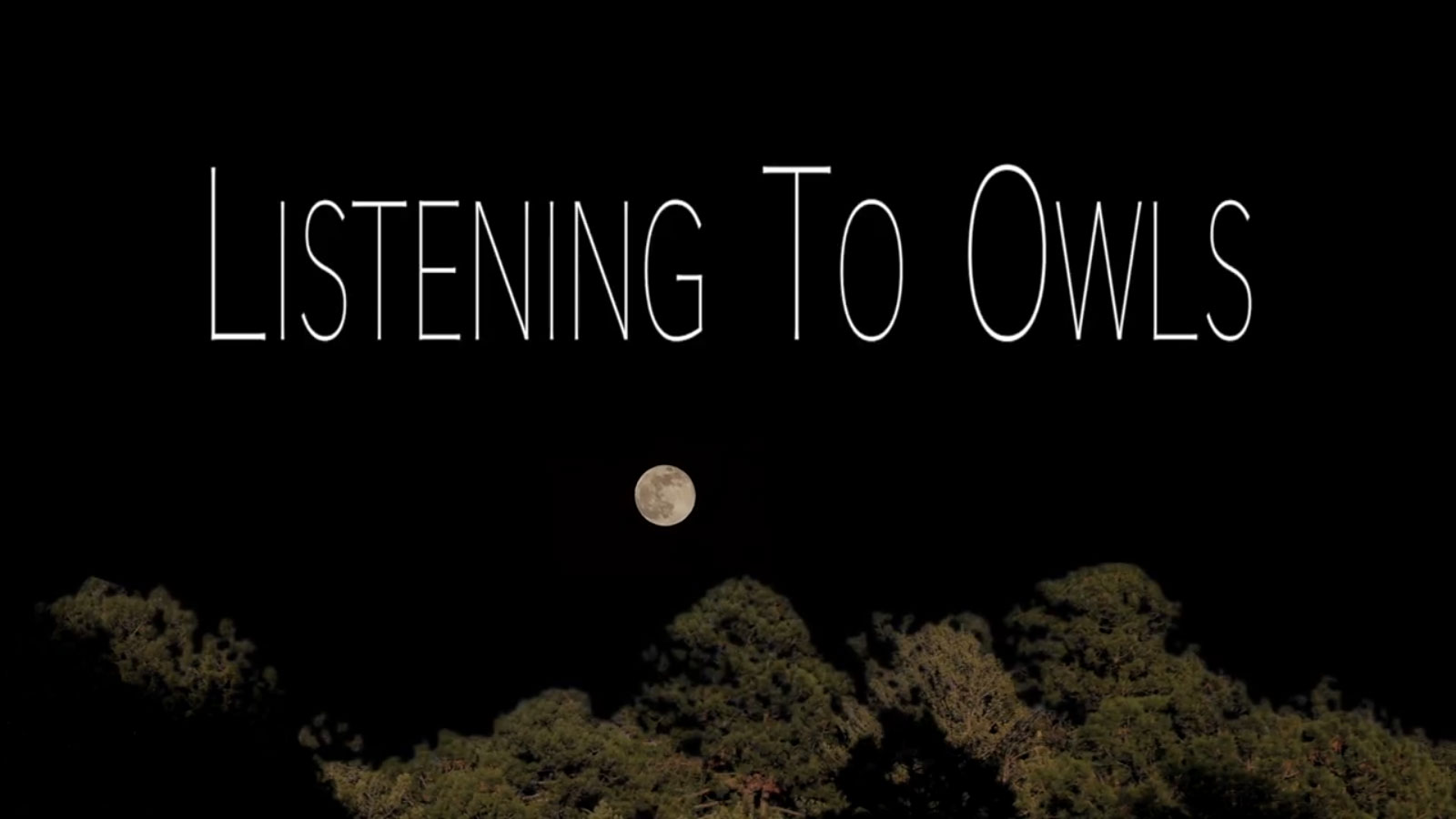 Listening to Owls | Friends of Flagstaff National Monuments